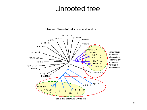 Unrooted tree